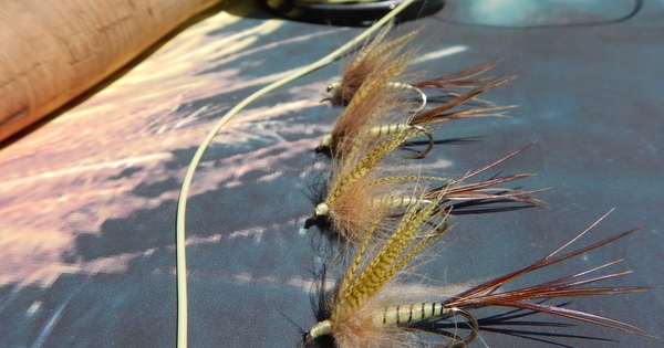 L'atelier mouche