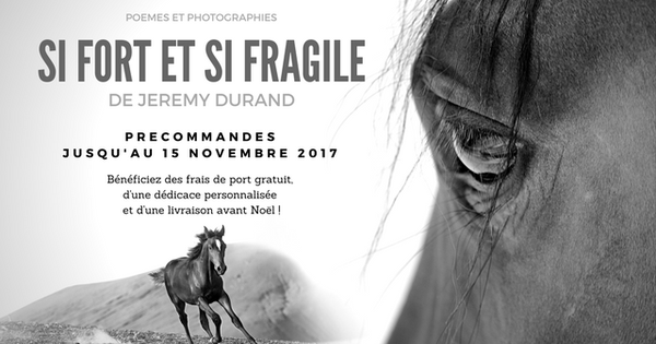 Beau Livre : Si fort et si fragile