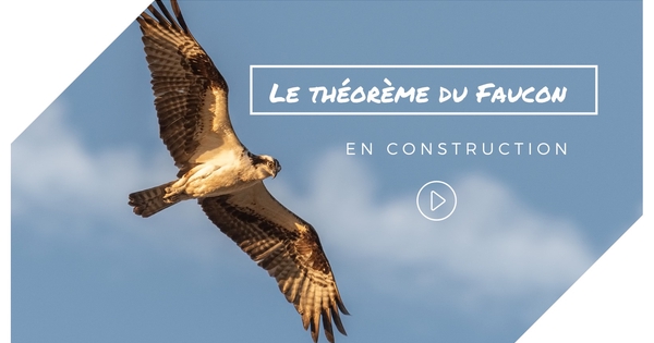 Le Théorème du Faucon - Ulule