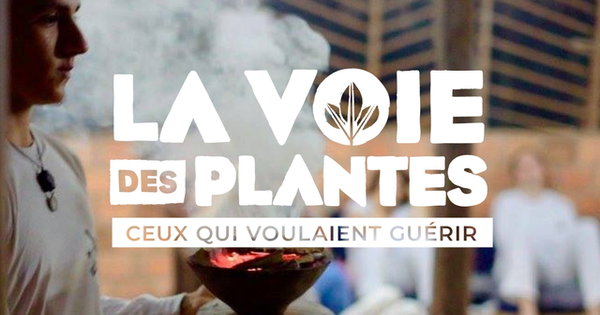 The Path of Plants : A Journey to Healing