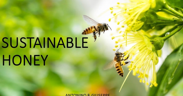 PROJECT - SUSTAINABLE HONEY