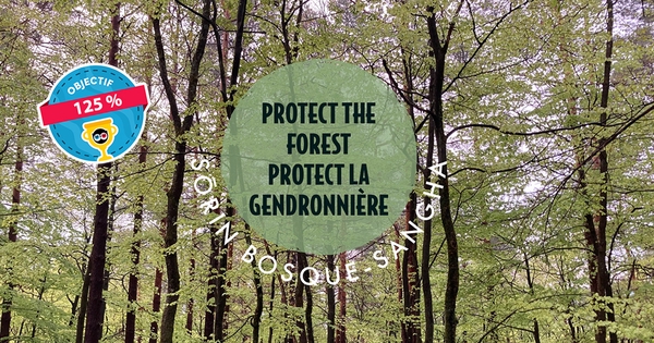 LET'S PROTECT THE FOREST, LET'S PROTECT LA GENRONNIERE - Ulule