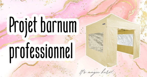 Projet barnum professionnel - Ulule