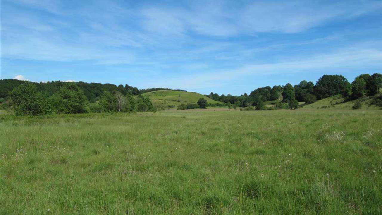 Protection de la tourbière de Crespy-Greloux - Ulule