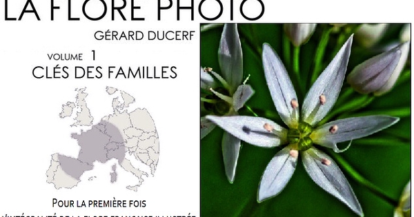 La Flore Photo