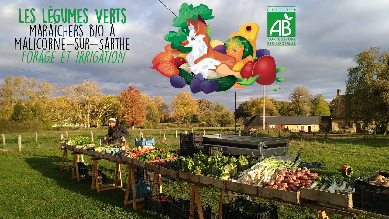 Forage Et Irrigation Vos Maraîchers Bio Ont Besoin De Vous Ulule