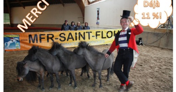 Cheval Attitude - Ulule