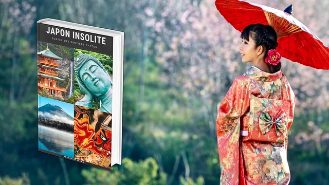 JAPON INSOLITE - Ulule