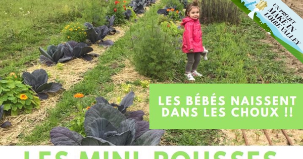 Le Jardin des Mini-Pousses