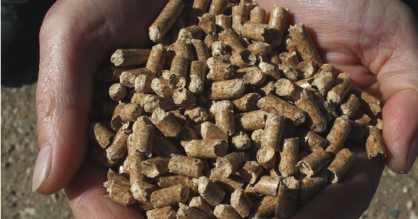 Granulé de bois local 100% recyclé - Ulule