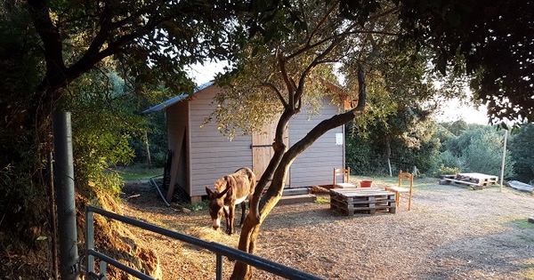 Espace Naturel de Médiation Animale - Ulule