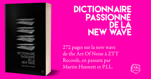 Dictionnaire passionné de la new wave - Ulule