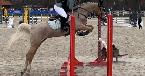 Objectif championnats de France poney 2023