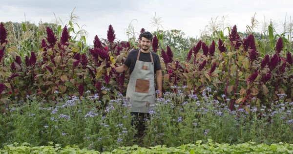 CLOSING THE CYCLE OF FOOD WASTE IN AMSTERDAM - Ulule