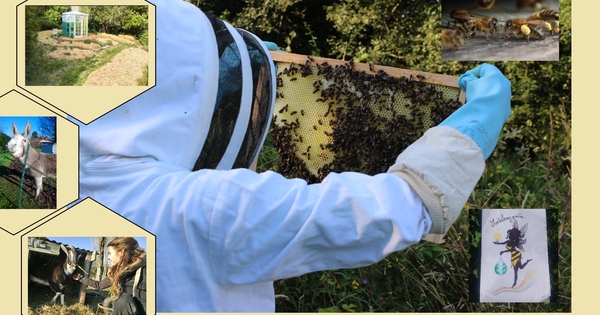 Les Abeilles de Mieleaugaïa
