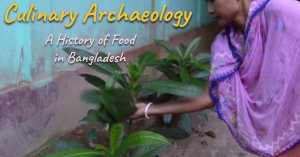 Culinary Archaeology