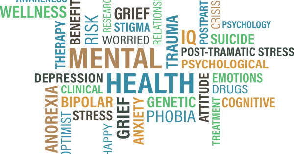 Mental Health Navigator