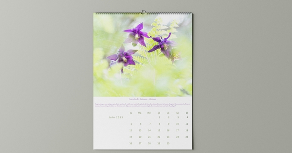 Calendriers photo 2023 - Martin Van Boone - Ulule