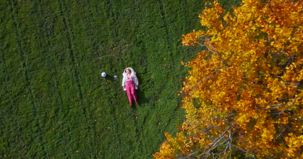 Release of the album: "Dans le Vent"