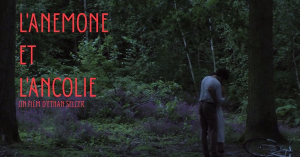 L'Anémone et l'Ancolie - Ulule
