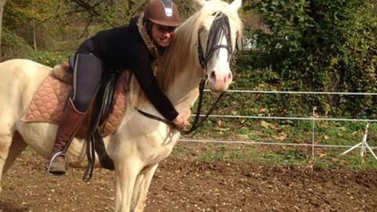 Le cheval de feu s'installe à Dompierre sur Veyle - Ulule