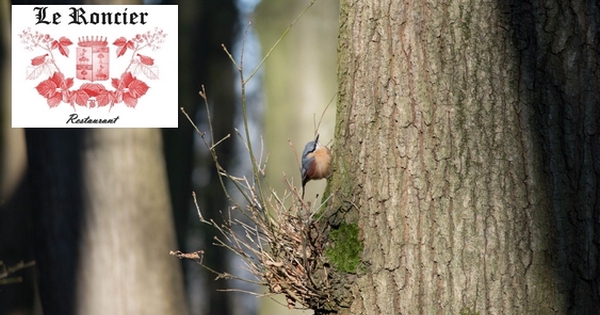 Le Roncier