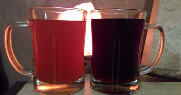 Freaky Brewery - Ulule