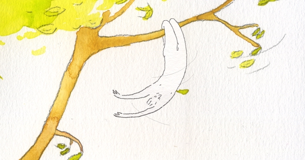 Un clip d'animation pour "L'arbre"