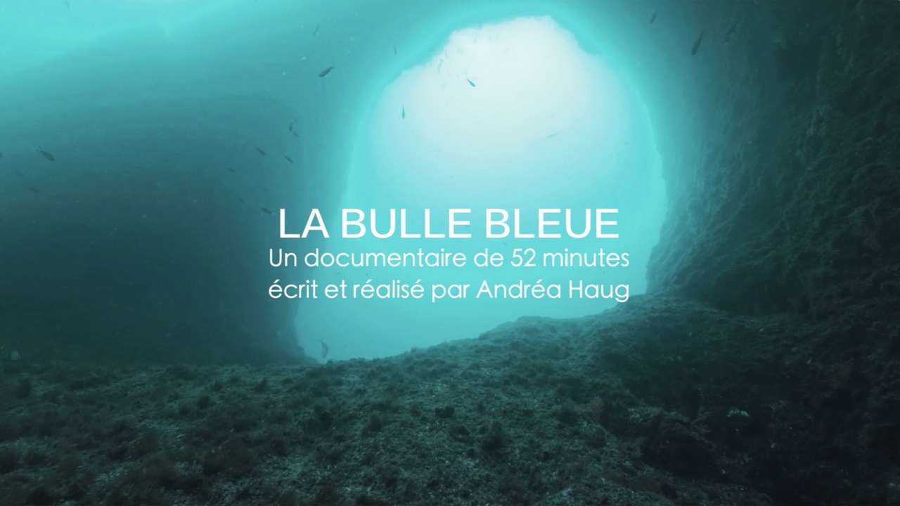 La Bulle Bleue - Ulule