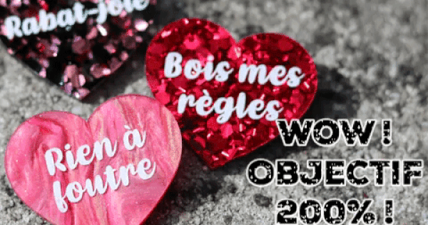 Les broches effrontées de Laura Coupeau - Ulule