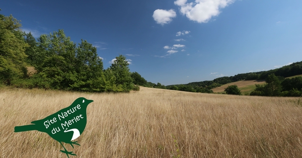 Éduquer et sensibiliser à la nature