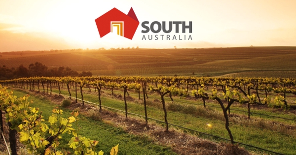 A la découverte des vins Australiens