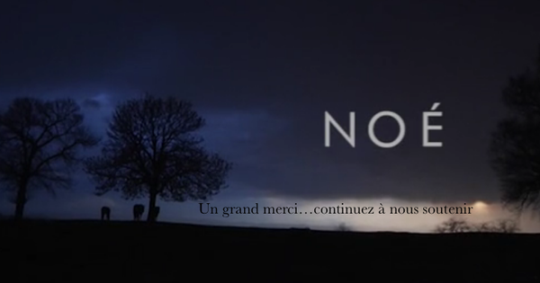 Noé - Ulule