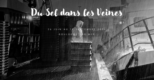 Du Sel dans les Veines