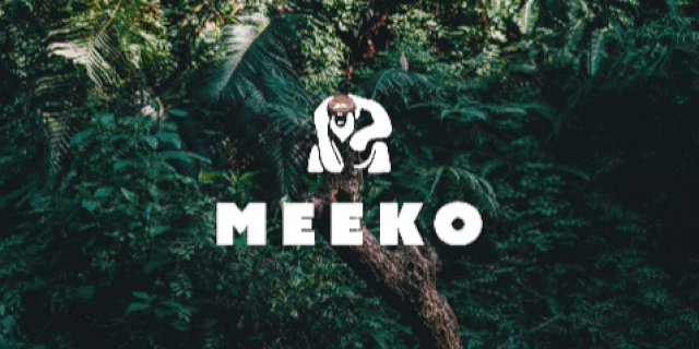 MEEKO - Ulule