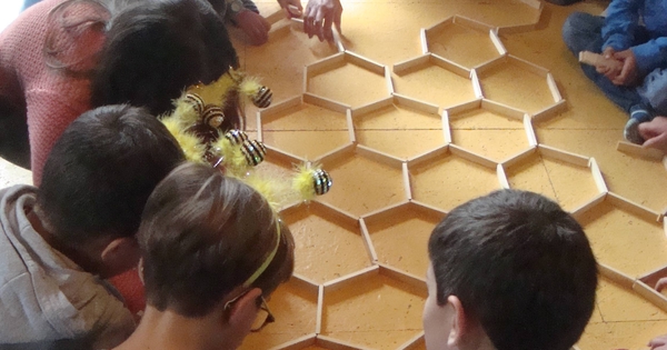 Immersion chez les abeilles