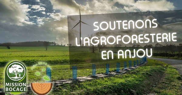 Soutenons l'agroforesterie en Anjou - Ulule