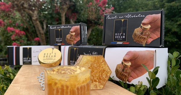 Vos abeilles, votre miel en alvéoles ;-) - On continue ! - Ulule