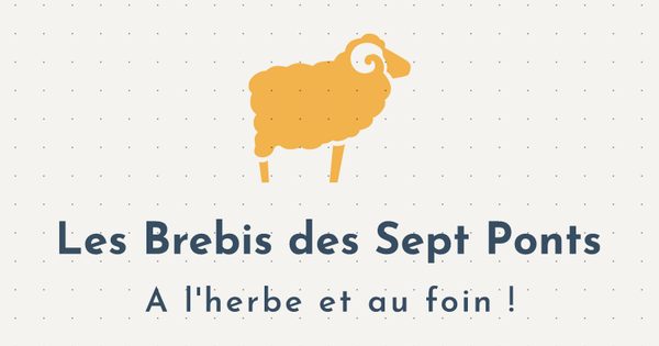 Brebis laitières à l'herbe et au foin