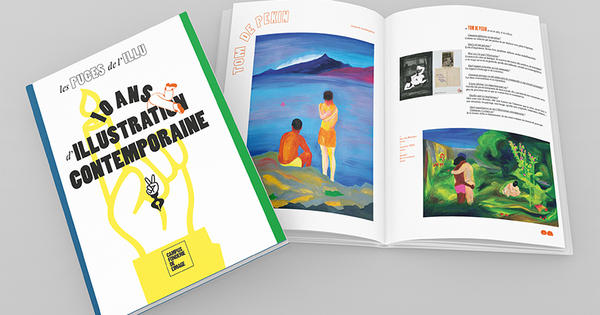 Livre - Les Puces de l'Illu