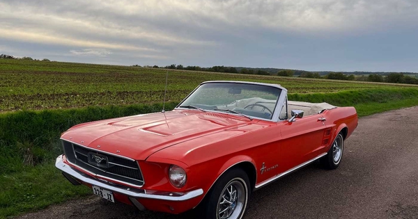 Investissement Passion Collection - Ulule